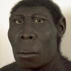 TheRadish7 - Profile | SoFIFA