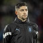 Der Halcón - Profile | SoFIFA